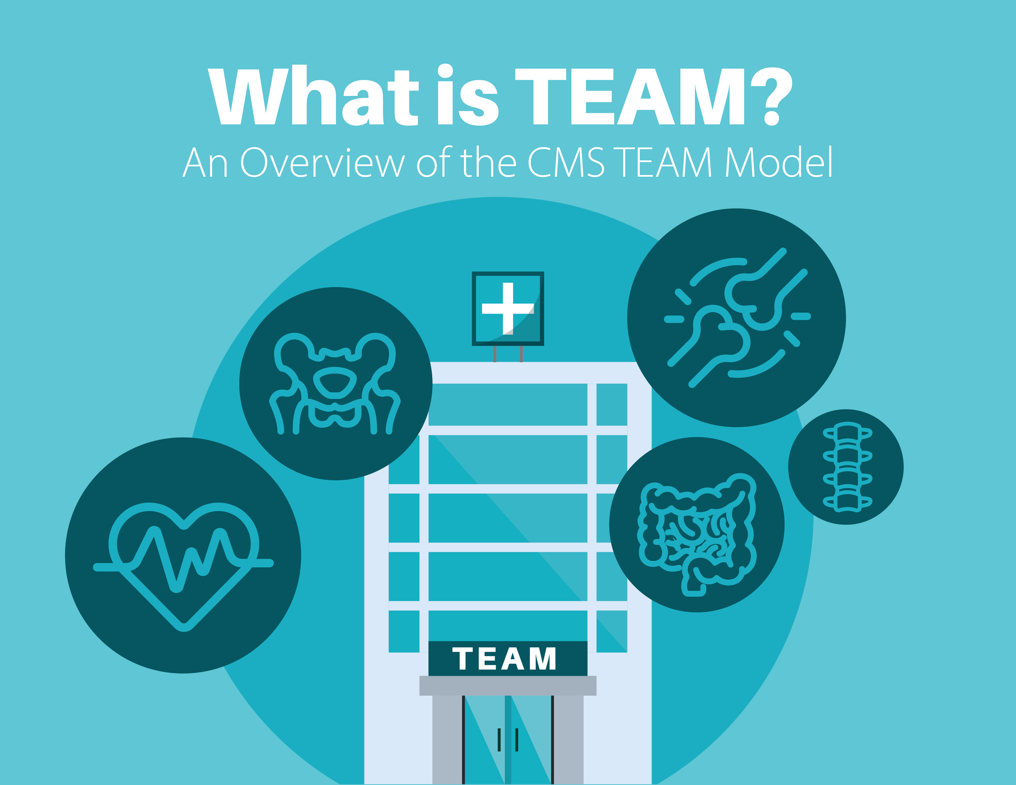 What is TEAM? An Overview of the CMS TEAM Model | Medisolv